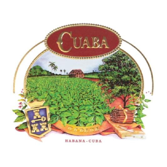 Collections – Very Cubans